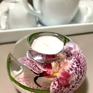 EMILIO ROBBA PARIS | Accents | Emilio Robba Spotted Phalaenopsis Tlight ...